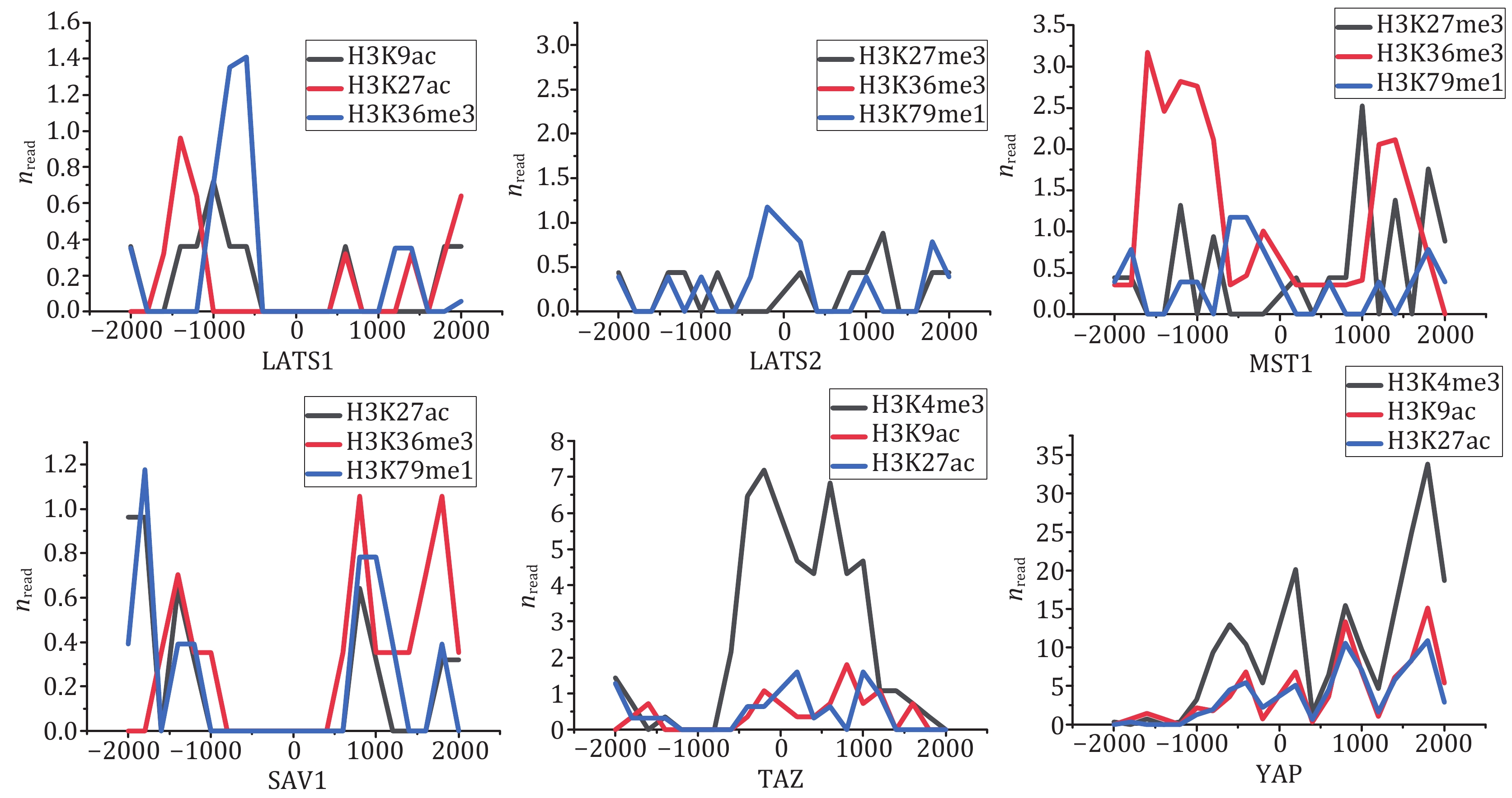 Study on the spatial distribution patterns of histone modifications in ...